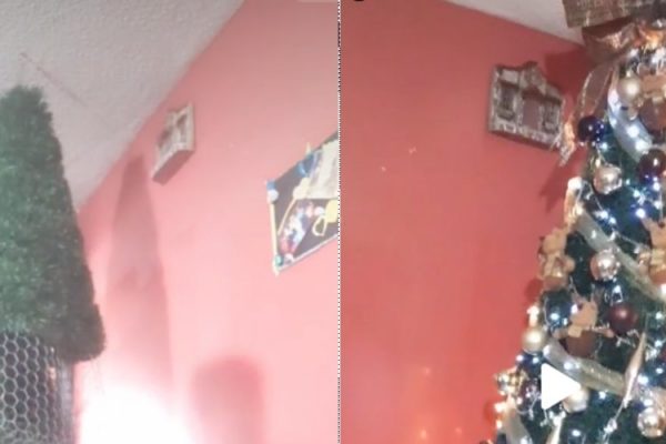 Mujer muestra cómo poner un humilde árbol de navidad con poco dinero ... Mujer muestra cómo poner un humilde árbol de navidad con poco dinero ...